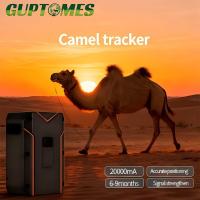 China Camel GPS Tracker with 20000mAh Battery and Voice Intercom - 6-9 Month Standby for Livestock Management for sale