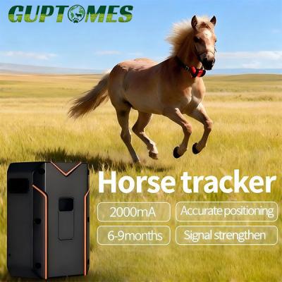 China Equine Guardian GPS Tracker with Voice Intercom - 20000mAh Battery, 432g Weight, 6-9 Month Standby for sale