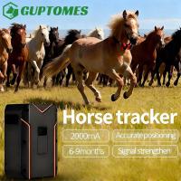 China Compact Horse GPS Tracker 412g with 20,000mAh Battery and 6-9 Month Standby Time for Real-Time Tracking for sale