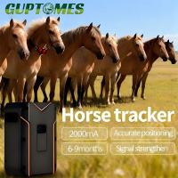 China Guardian Equine GPS Tracker with 20,000mAh Battery and 6-9 Month Standby for Horse Safety and Livestock Monitoring for sale