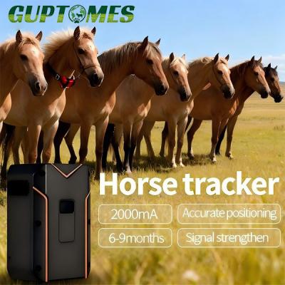 China Guardian Equine GPS Tracker with 20,000mAh Battery and 6-9 Month Standby for Horse Safety and Livestock Monitoring for sale