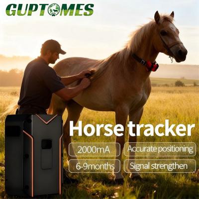 China 20000mAh Horse GPS Tracker with 6-9 Month Battery Life, Multi-Technology Positioning (GPS/BDS/WiFi/LBS/AGPS) for Equine Safety for sale