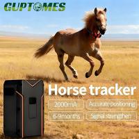 China EquineGuard GPS Horse Tracker with 20000mAh Battery - 6-9 Month Standby Time, 106×71×45mm Compact Design for Livestock Monitoring for sale