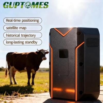 China 20000mAh GPS Livestock Tracker with 5-10 Meter Accuracy for Cattle and Large Animals for sale