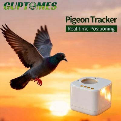 China Compact Racing Pigeon Tracking Device Ring 2.6g 38h Battery Data Security for Breeding Selection for sale