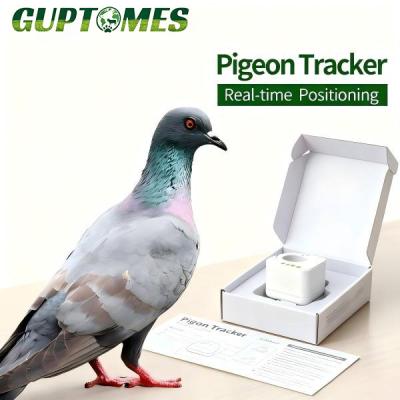 China V13 Non-Real-Time Pigeon Tracking Device - 2.6g Lightweight GPS Ring with 38+ Hour Battery for Racing Compliance for sale