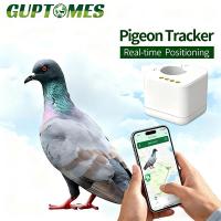China GUPLINK V13 Racing Pigeon GPS Tracker - 2.6g Ultra-Lightweight with 38-Hour Battery Life and Intelligent Anomaly Detection for sale