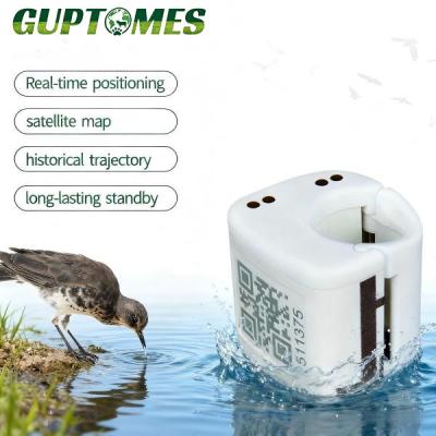 China V11 GPS+LBS Mini Bird Tracker - 5.4g Ultra-Lightweight, 300mAh Battery, IP67 Waterproof, 2G Network Real-Time Positioning for sale