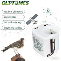China V11 IP67 Waterproof GPS Bird Tracker 5.4g Ultra Light with 80mAh Battery and 5-15m Accuracy for sale