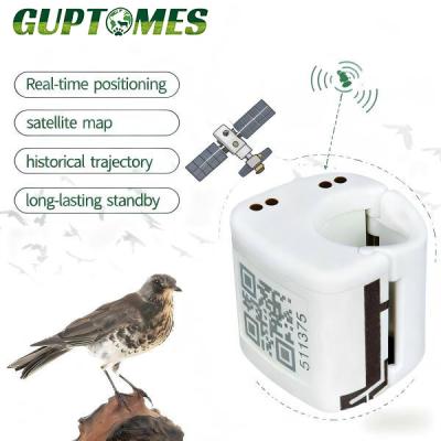 China V11 IP67 Waterproof GPS Bird Tracker 5.4g Ultra Light with 80mAh Battery and 5-15m Accuracy for sale