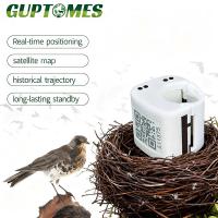 China Type C Dual Charging Small Bird GPS Tracking Device - 4.4g Weight, 80mAh Battery, IP67 Waterproof for Real-Time Pet Positioning for sale