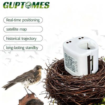 China Type C Dual Charging Small Bird GPS Tracking Device - 4.4g Weight, 80mAh Battery, IP67 Waterproof for Real-Time Pet Positioning for sale