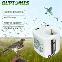 China Compact 20x20mm Pet Bird GPS Tracking Device with 5.4g Weight and 5-15m Accuracy for Parrots and Canaries for sale