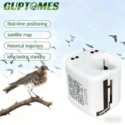 China 5.4g Pet Bird GPS Tracker with 500mAh Battery, 5-15m Accuracy and IP67 Waterproof Rating for sale