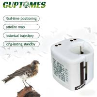 China IP67 Waterproof Bird GPS Tracker 4.4g Weight 5-15m Accuracy Multi-Unit Tracking System for sale