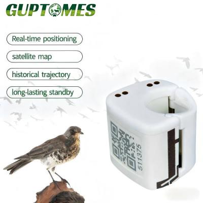 China IP67 Waterproof Bird GPS Tracker 4.4g Weight 5-15m Accuracy Multi-Unit Tracking System for sale