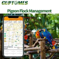 China Waterproof Mini Pigeon GPS Tracker 5.4g Ultra-Light with 80mAh Battery and 5-15m Accuracy for sale