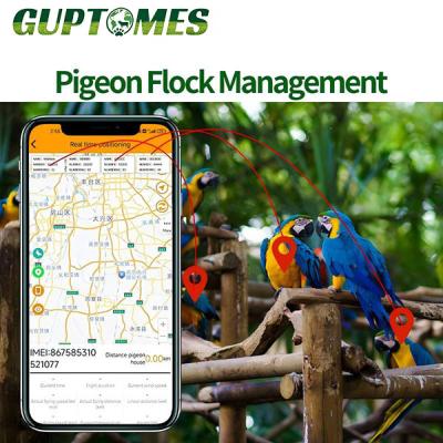 China Waterproof Mini Pigeon GPS Tracker 5.4g Ultra-Light with 80mAh Battery and 5-15m Accuracy for sale