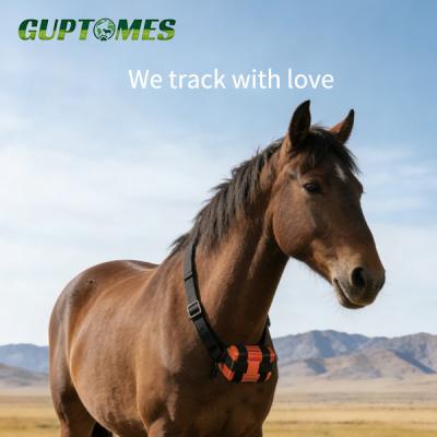 China 30000mAh Horse GPS Tracker with GPS BDS WiFi Multi Positioning for Livestock for sale