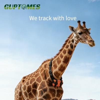China Professional Wildlife GPS Tracker 30000mAh Ultra-Long Standby IP68 Waterproof Collar for Giraffes Large Mammals for sale
