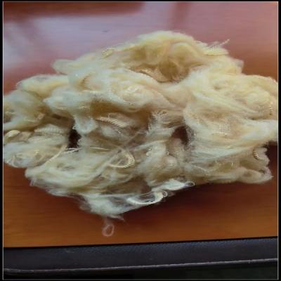 China Down Like Polyester Staple Fiber Good Resilience Keep Warm Light & Clean for sale