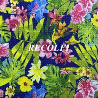 China 180gsm Activewear Made From Recycled Plastic Digital Printing Swim Towlling for sale