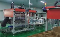 China Two Axis Automatic Carton Packing Machine, 15 Boxes/Min, 3 Working Stations for sale