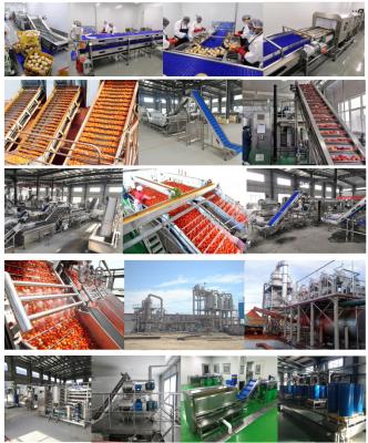 China Fresh Tomato Sauce Processing Equipment for sale