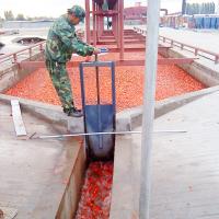 China Fresh Tomato Sauce Processing Equipment for sale