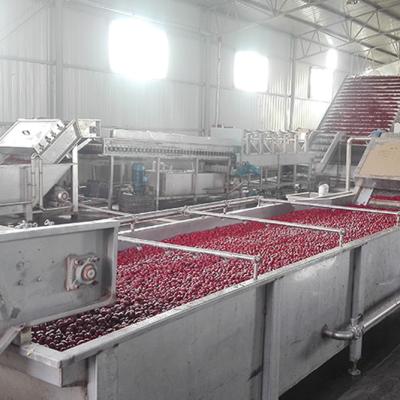 China Fruit Juice Processing And Packaging Line Production Capacity Customized for sale