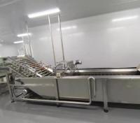 China Bubble Type Fruit / Vegetable Washing Machine Production Capacity Customized for sale