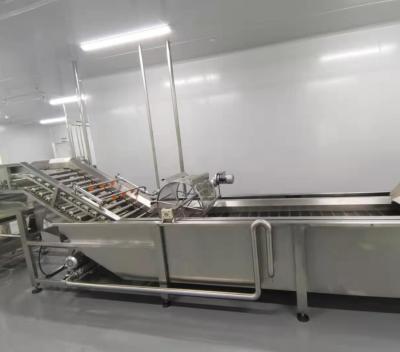 China Bubble Type Fruit / Vegetable Washing Machine Production Capacity Customized for sale