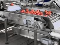 China High Production Fruit Picking And Sorting Machine Capacity Customized for sale