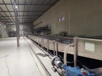 China Water Bath Type Tunnel Pasteurization Equipment for sale