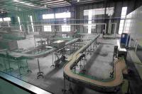 China Can Or Glass Jar Conveyor For Empty Or Filled Tin Cans Sizes From 70g To 3Kg Capacity Or Speed From 50 CPM To 600 CPM for sale