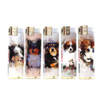 China Disposable Plastic Electronic Petrol Cigarette Lighter 80x25x10mm Child Resistance for sale