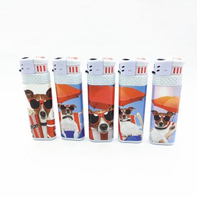 China Disposable Electric Lighter DY-F016 Windproof ABS AS 7.8x2.36x1.55cm Custom Logo for sale