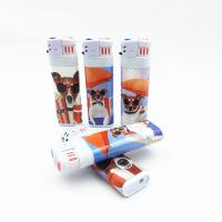 China Disposable Electric Lighter DY-F016 Windproof ABS AS 7.8x2.36x1.55cm Custom Logo for sale