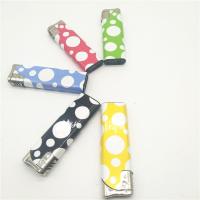 China Electronic Cr Flip Plastic Lighter Dy-069 Cigarette Lighter with Customized Request for sale