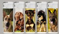 China Refillable Flint Lighter DY-071 80x24.9x10mm AS ABS Plastic ISO9994 Certified for sale