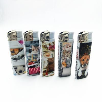 China Disposable Lighter Dy-055 Type for Long-Lasting Electronic Cigarette Lighting for sale