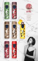 China Refillable USB Charging Windproof Electronic Fingerprint Arc Lighter DY-USB01 for sale