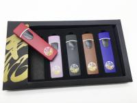 China Customized USB Plastic Windproof Electronic Fingerprint Cigarette Lighter for Smoking for sale