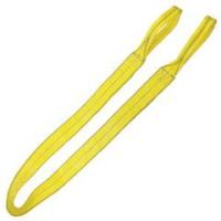 China Polyester Web Sling 2 ply 4