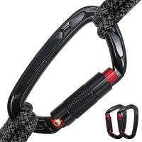 China Durable Equipment Safe D-Shape Lightweight 7075 Aluminum Alloy Multi Tool 24KN Auto Lock with Twistlock Design Carabiner for sale