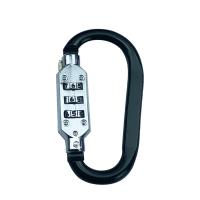 China Aluminum Carabiner D Shape Buckle Pack, Keychain Clip, Spring Snap Key Chain Clip Hook Buckle for sale