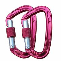 China heavy duty Strong Aluminum carabiner Durable Wiregate Carabiner Clips for sale