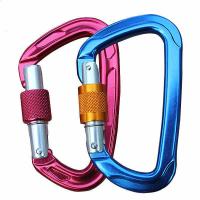 China heavy duty Strong Aluminum carabiner Durable Wiregate Carabiner Clips for sale