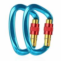 China Locking Carabiner Climbing Carabiner CE Certified D Shape Screw Gate Aluminum Carabiner for sale