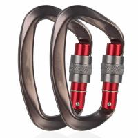 China Locking Carabiner Climbing Carabiner CE Certified D Shape Screw Gate Aluminum Carabiner for sale